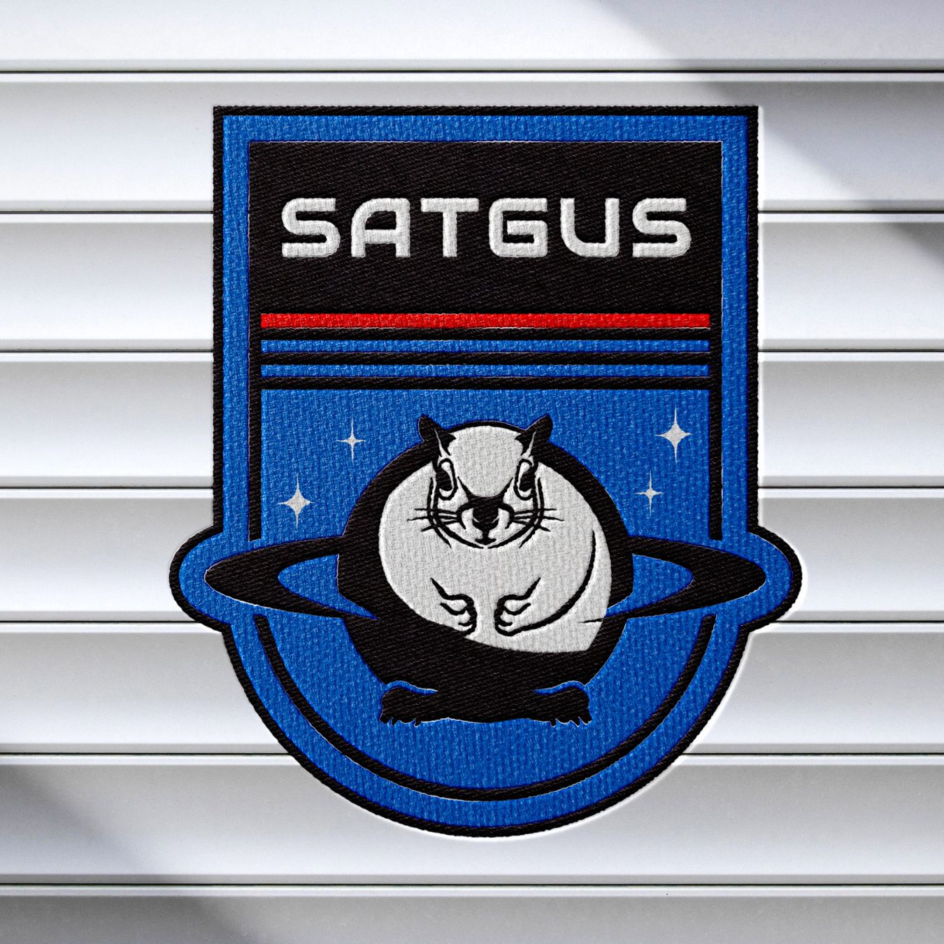 NASA-Inspired Logo for Mark Rober’s Space Selfie Project Sunnyvale, CA ...